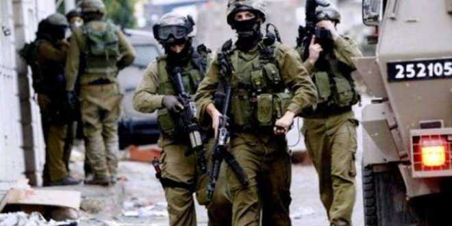 الاحتلال يعتقل شابا جنوب طولكرم شبكة فلسطين للأنباء شفا
